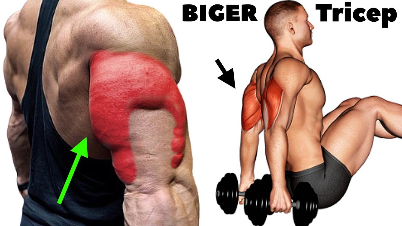 Tricep Workout to Get Bigger Triceps 5 Ranked Exercises for Growth ...