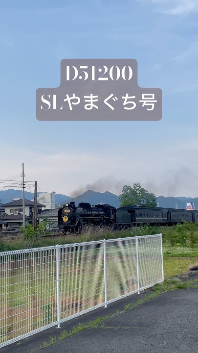 6/1 D51200 SLやまぐち号🚂大歳駅通過直後のドラフト音にて加速 #鉄道 #jr西日本 #山口市 #山口県 #train #railway #slやまぐち号 #機関車 #山口線 ...