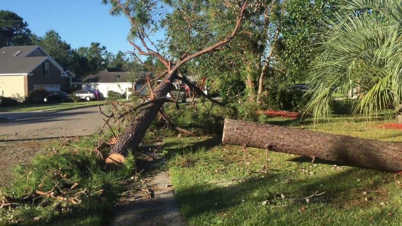 Hurricane Matthew Damage In Myrtle Beach | Roadside - YouTube