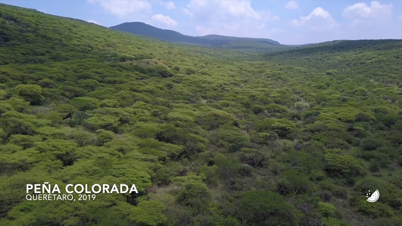 Peña Colorada Querétaro, Vistas con Drone Agosto 2019 - YouTube