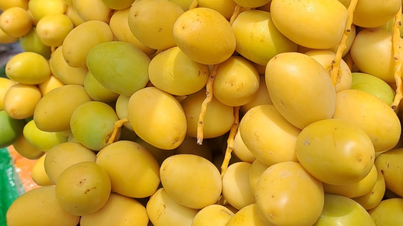 GK Fresh dates - Fresh Barhee dates for sale from farm to home. Please ...