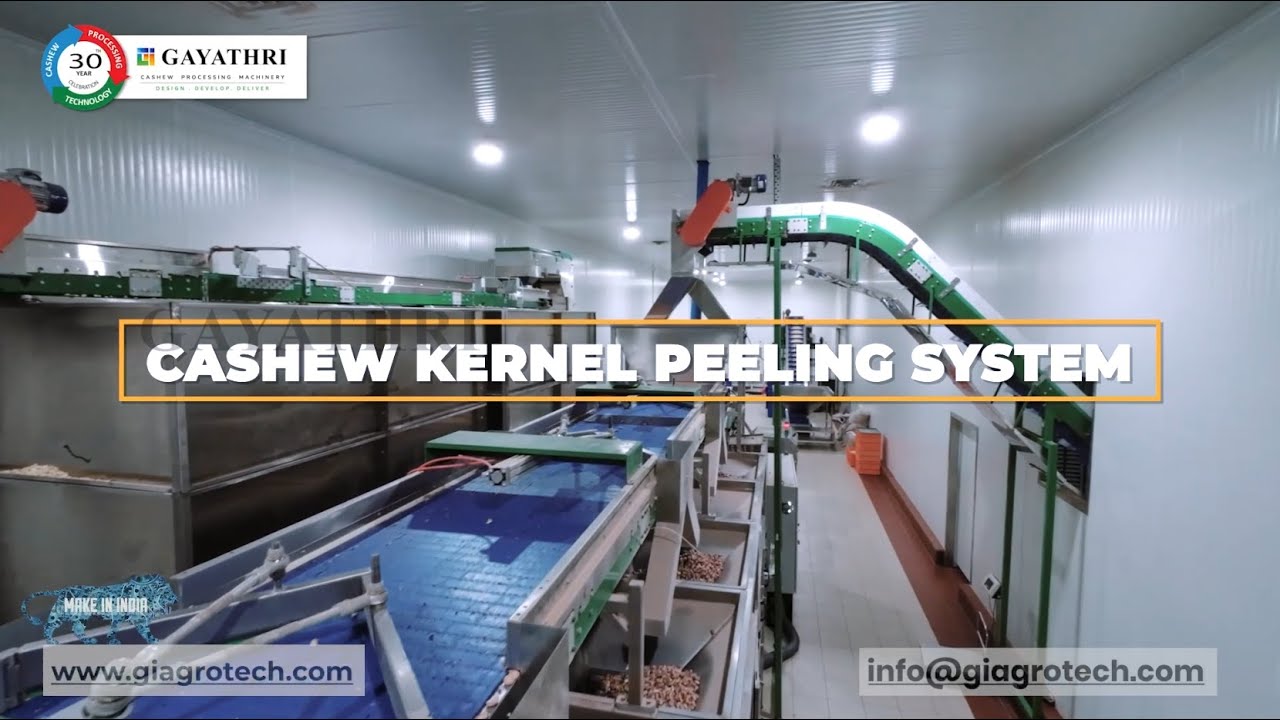 Efficient Cashew Kernel Peeling | GI Kernel Peeling System by GI Agro ...