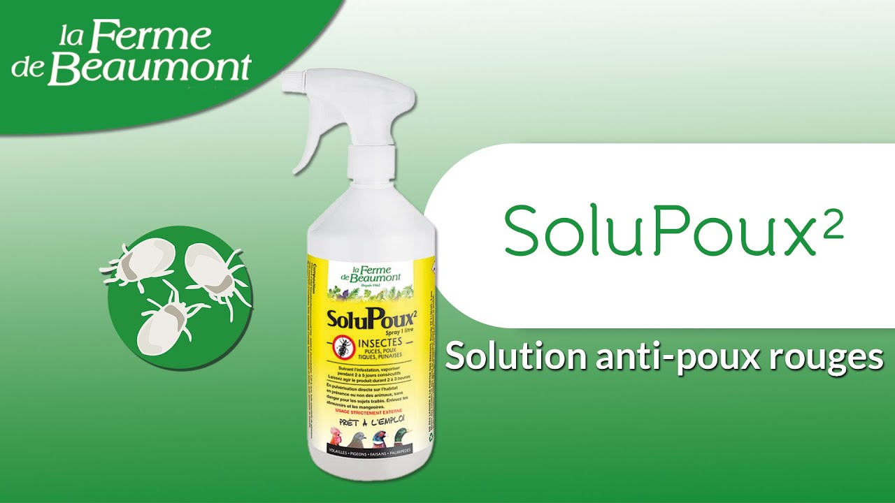 SoluPoux, insecticide pour éliminer les poux rouges du poulailler ...
