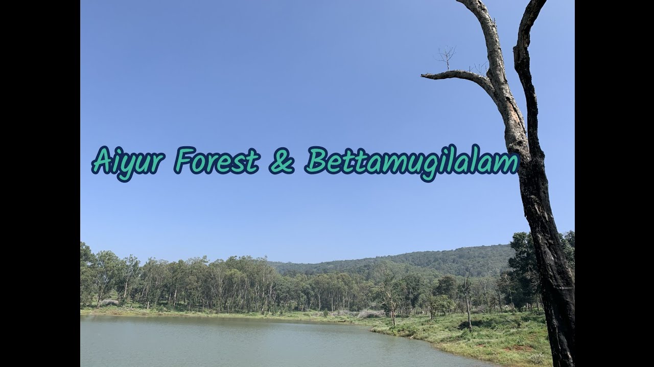 Ride to Aiyur (Ayoor) Forest (CAUVERY NORTH WILDLIFE SANCTUARY ...
