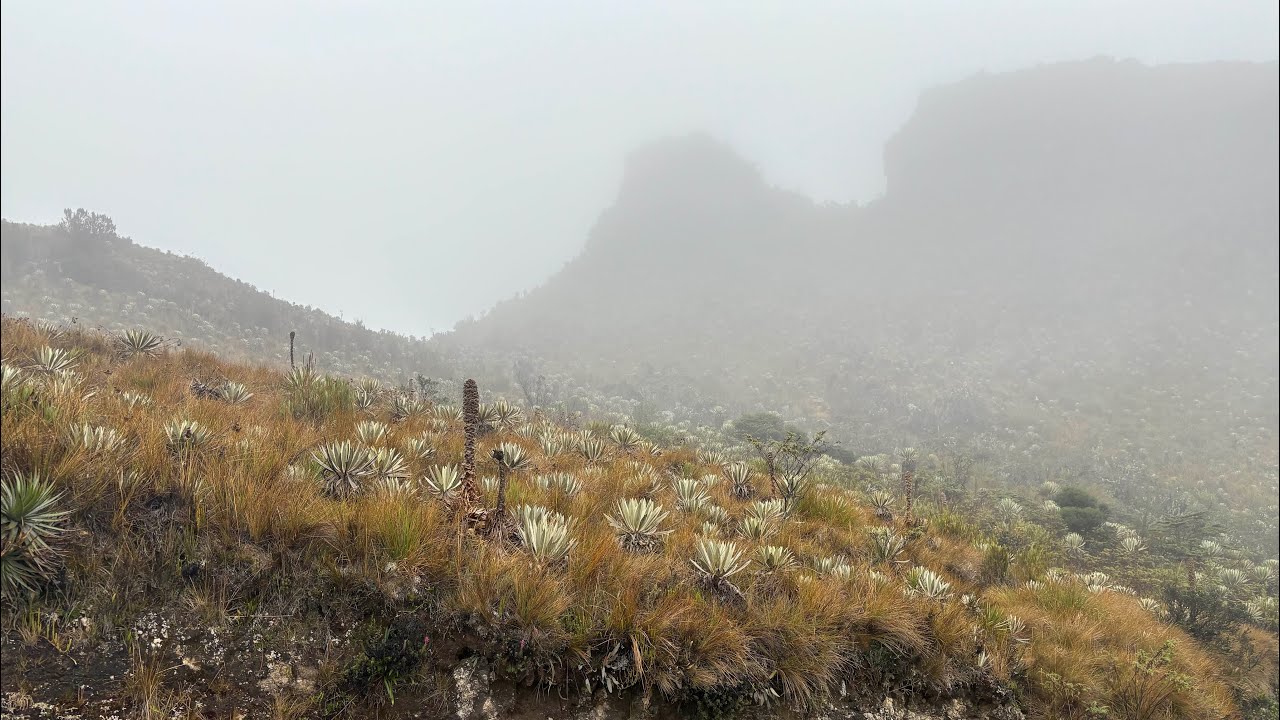(2024/3/9) Del frío del Páramo de Sumapaz al calor de Nilo (Cundinamarca) - YouTube