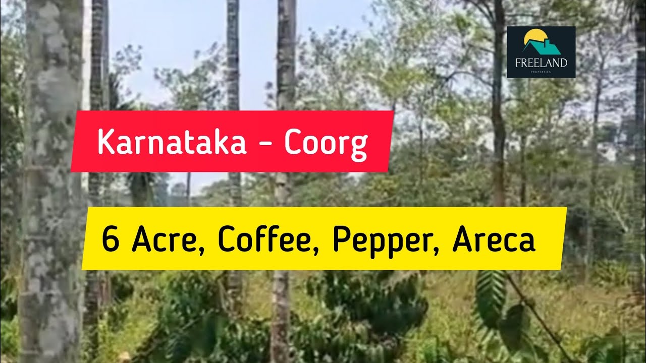 6 Acre Agri Farm Resort Land For Sale | Coorg | Madikeri | Coorg ...