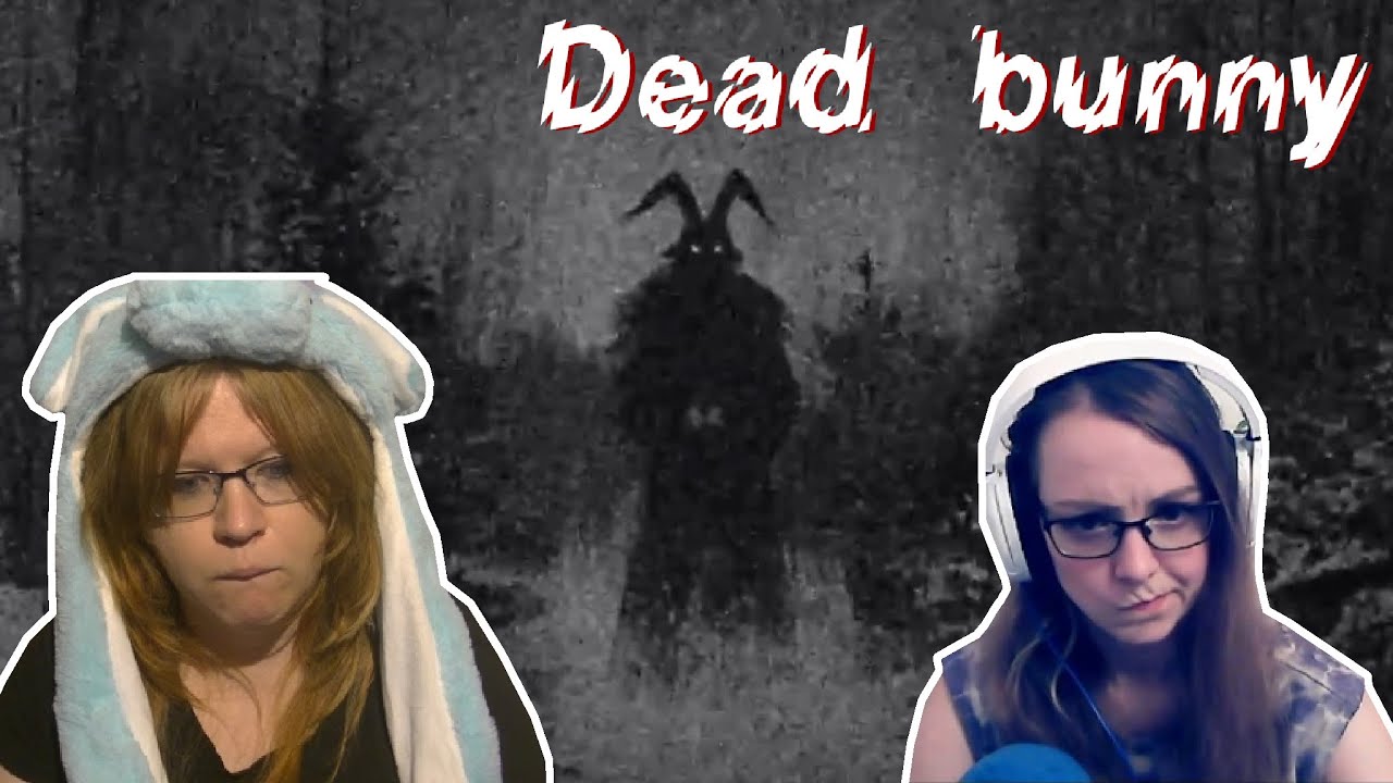 Dead bunny - YouTube