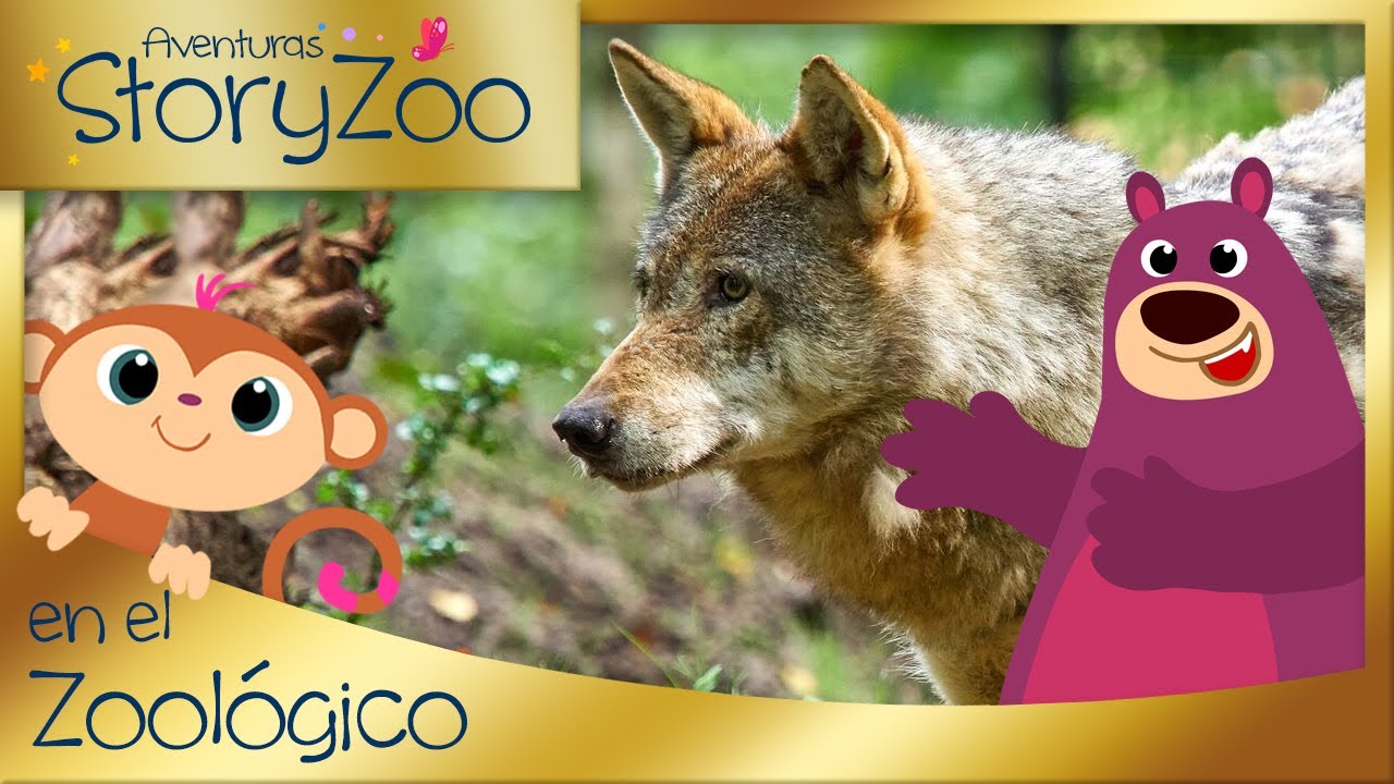StoryZoo en Español | Aventuras StoryZoo en el Zoologico - Lobo ...