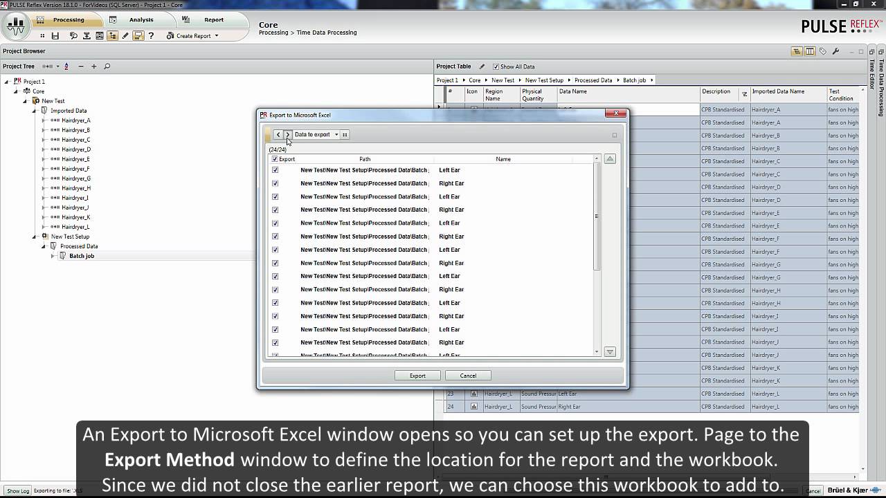 PULSE Reflex Core – Exporting processed data to Microsoft® Excel ...