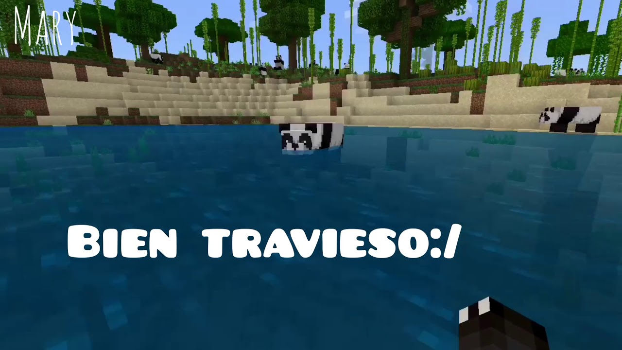 TIPOS DE PANDAS EN MINECRAFT!!!🐼💕 - YouTube