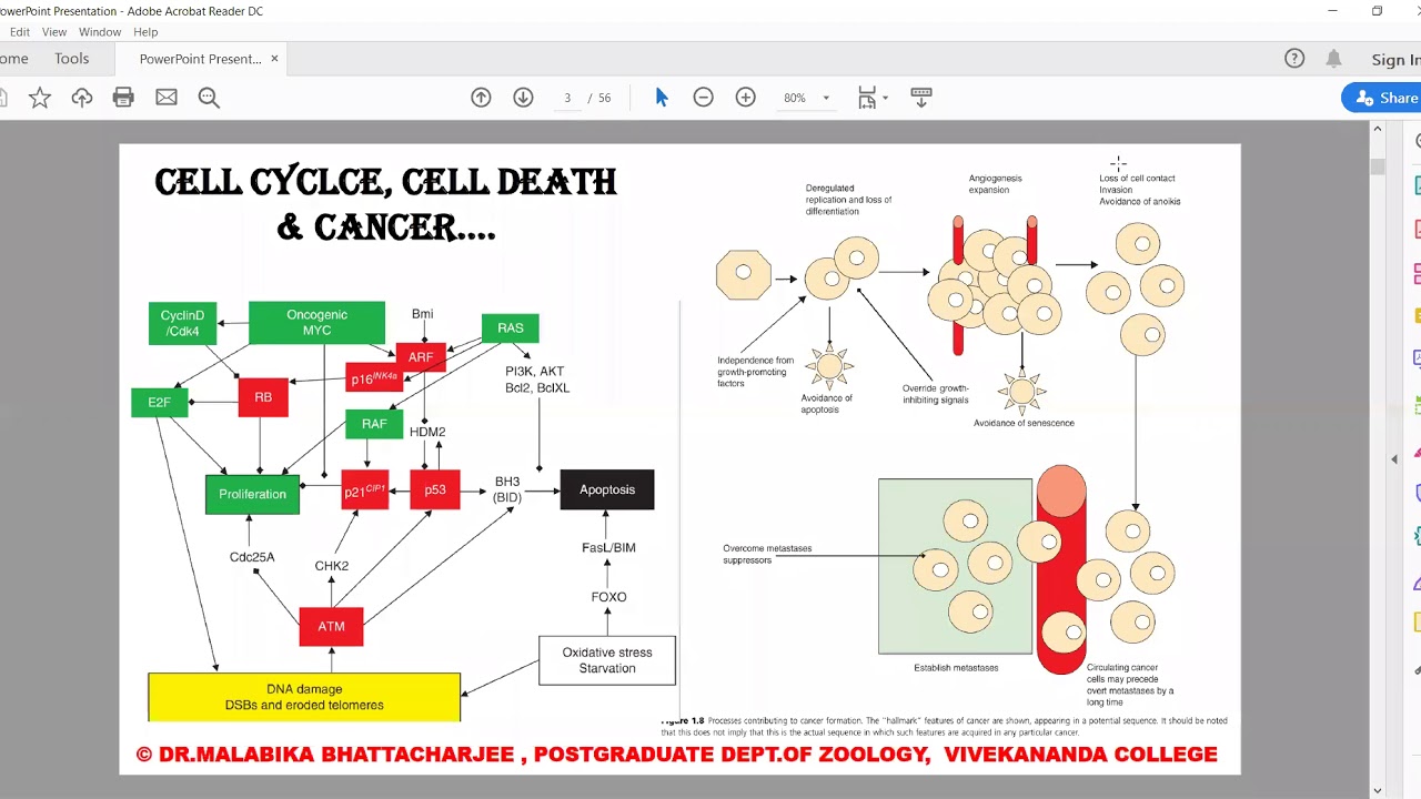 Cancer Lecture 1 (Introduction) - YouTube