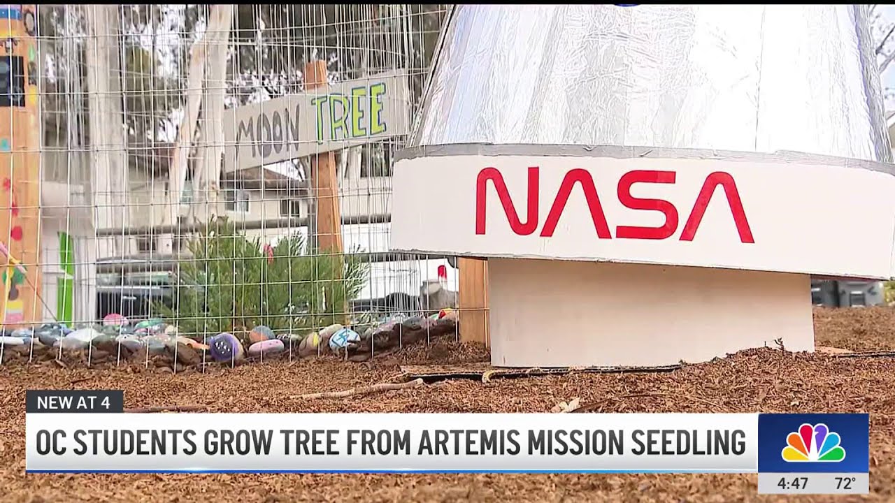 Orange County kids grow tree from NASA's Artemis mission seedling - YouTube