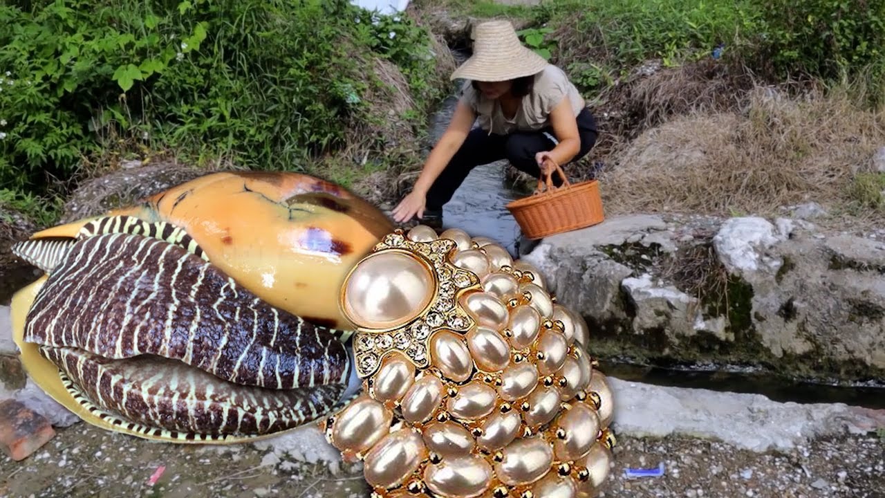 😱😱 A huge clam, nurturing over 50 pearls - YouTube