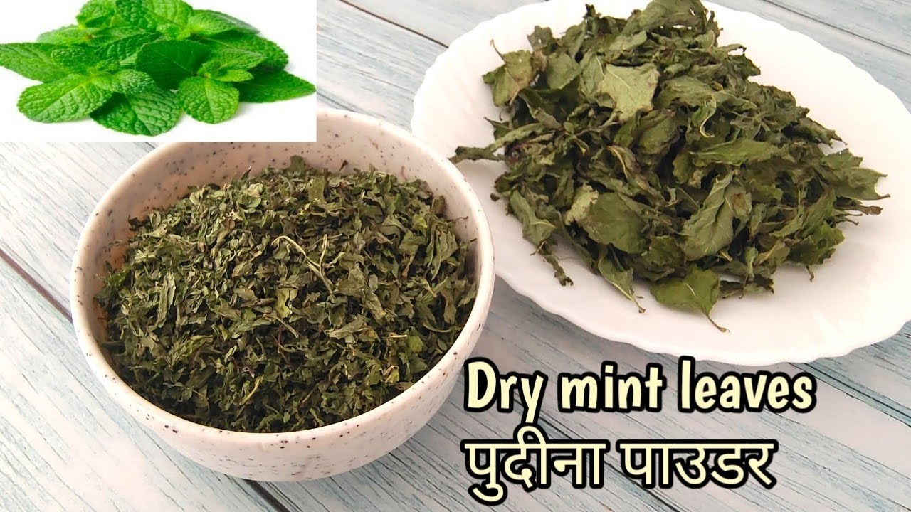 How to Dry Mint Leaves | Homemade Mint Powder | DIY Mint Powder ...