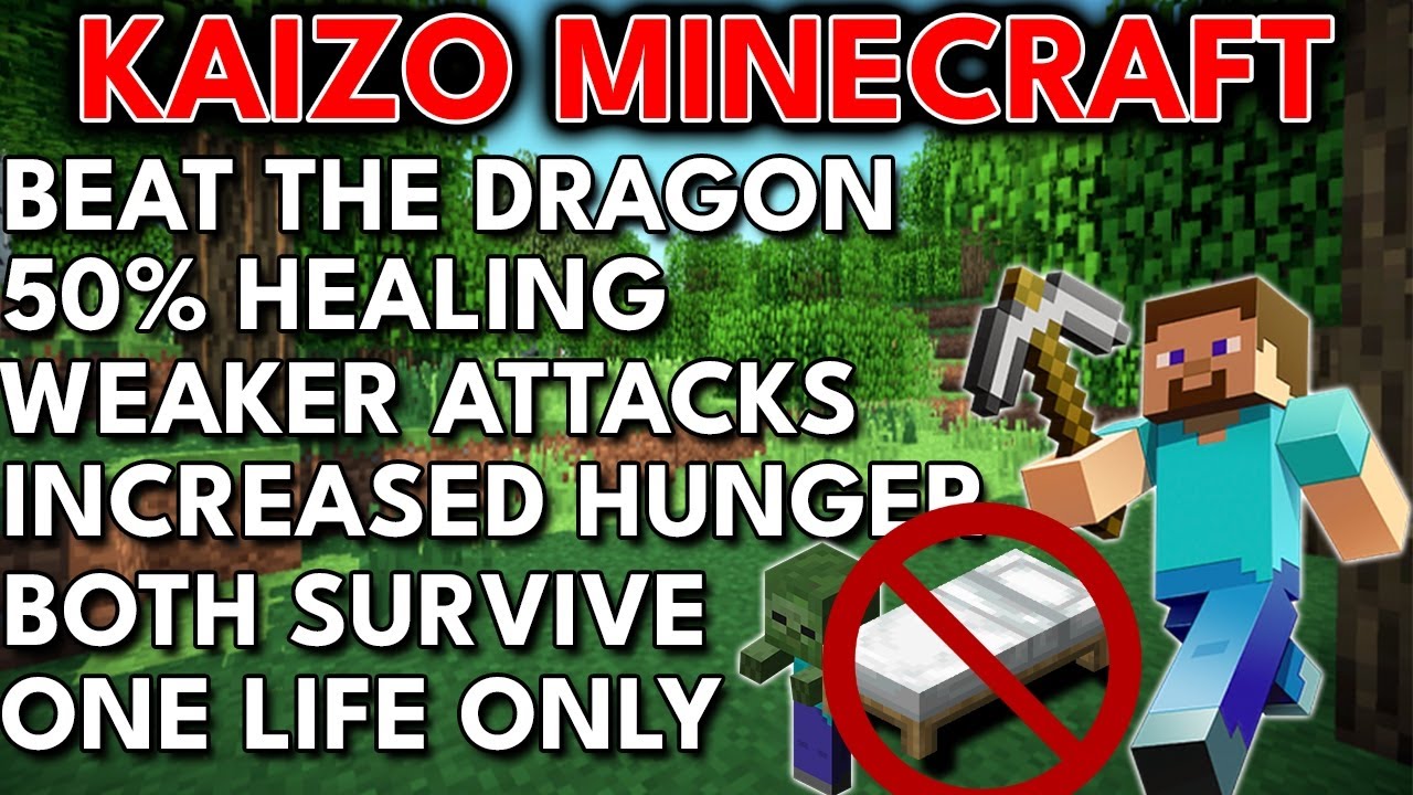 EXTREME HARDCORE KAIZO MINECRAFT SOULLINK W/ @ChillnPlay - YouTube