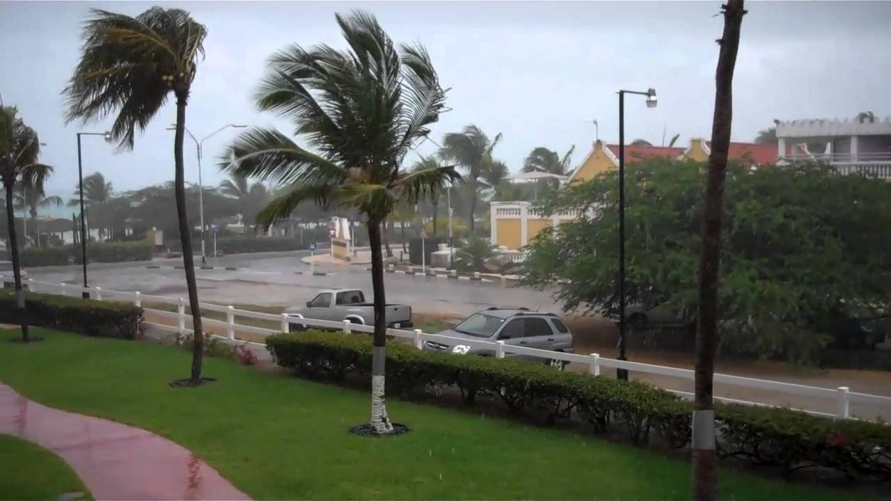 Aruba RAIN!!!! one morning out of 12 beautiful days! - YouTube