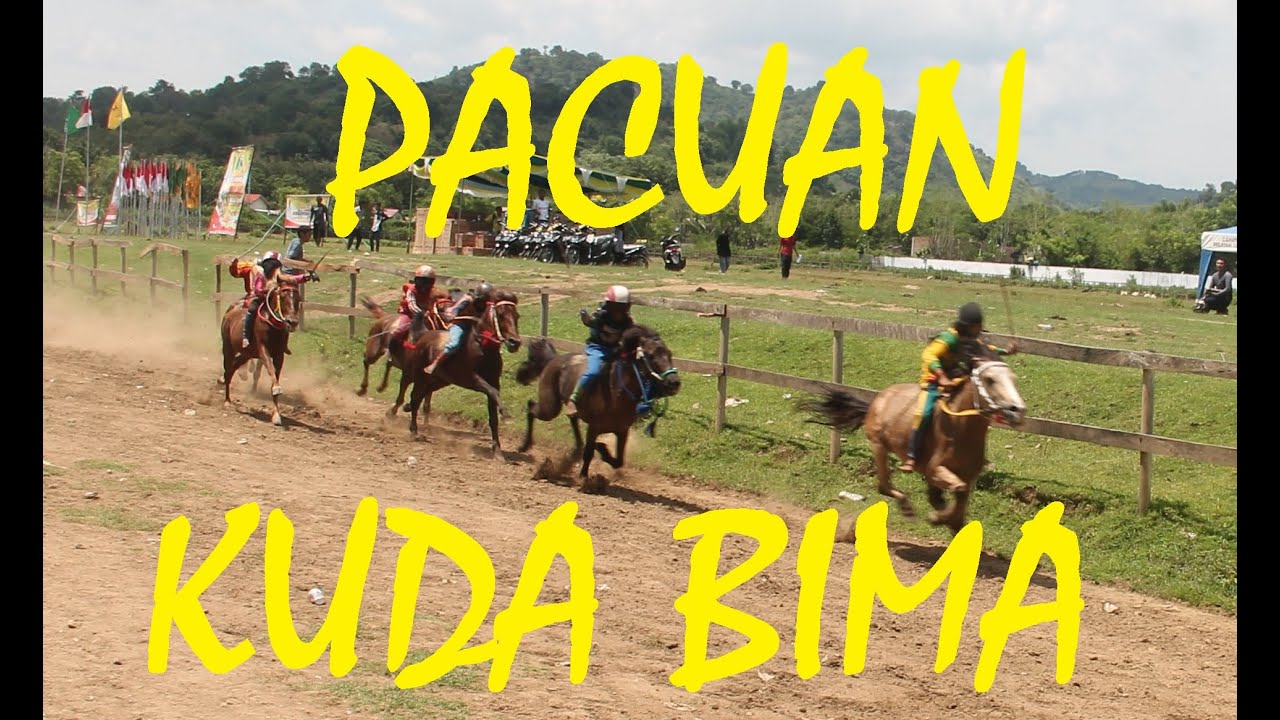 PACUAN KUDA BIMA - YouTube