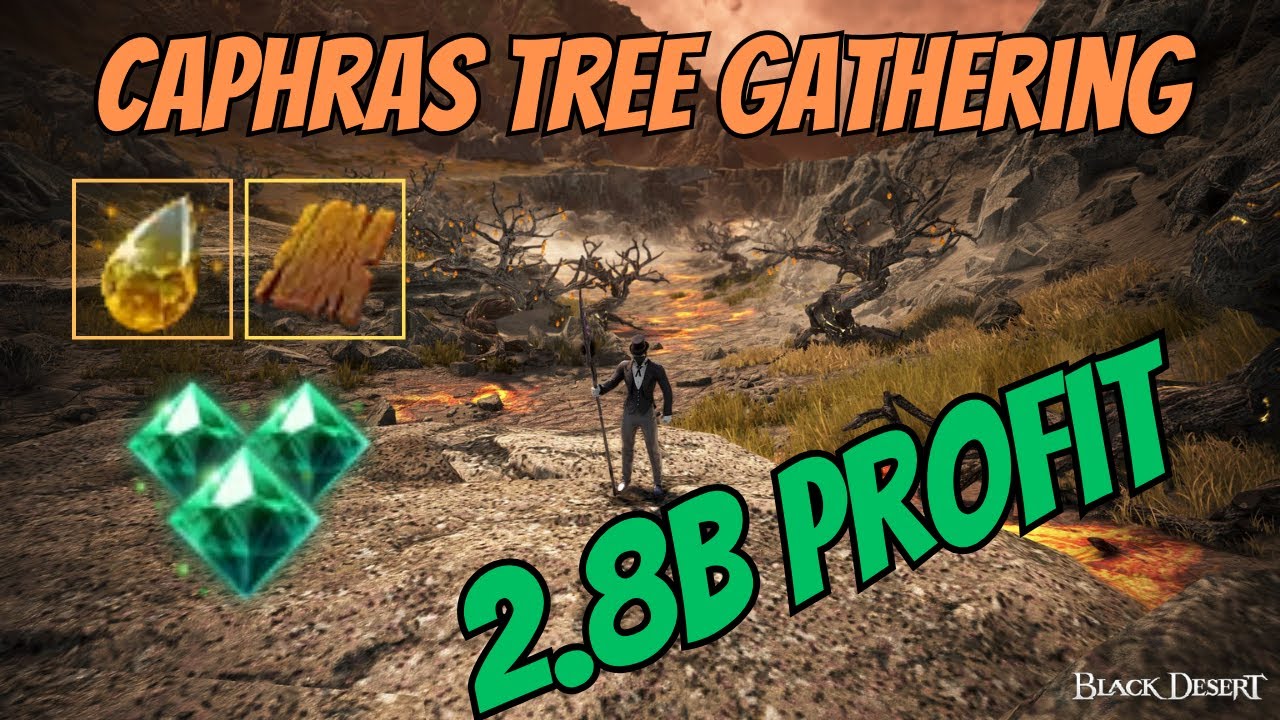 BDO | Caphras Tree Gathering | 3000 Mastery | 2.9B Profit - YouTube