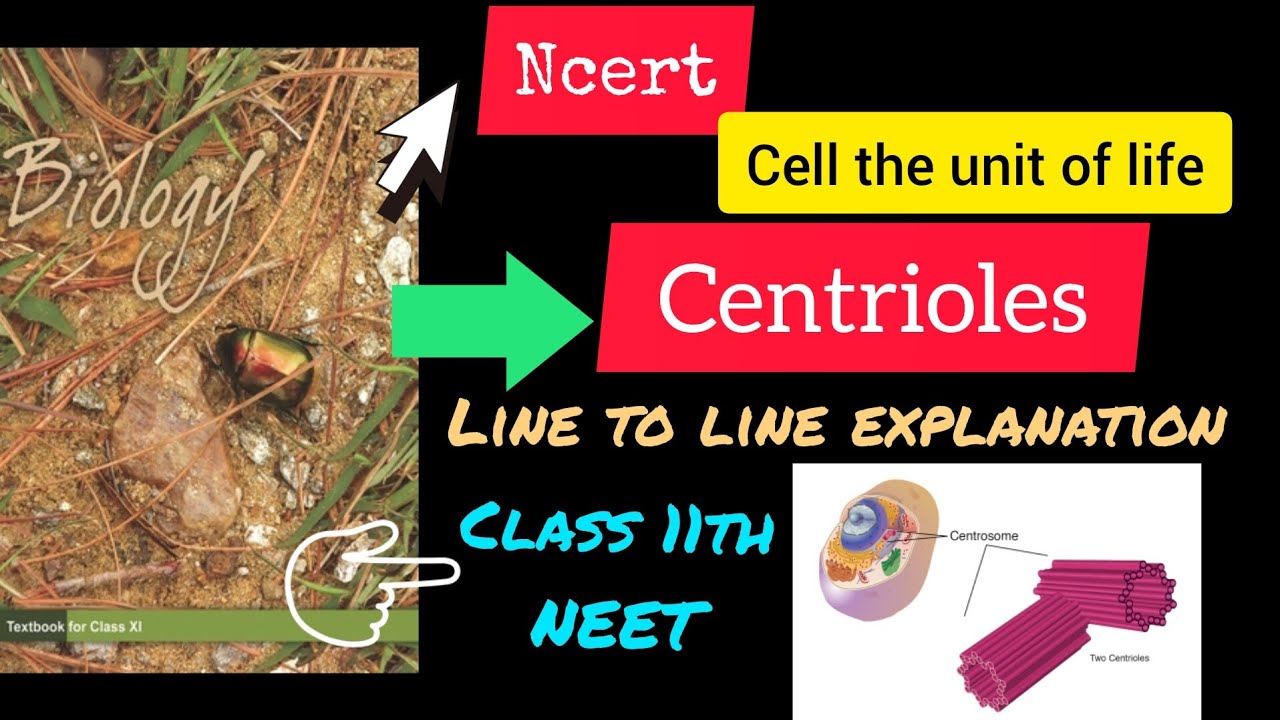 Centrioles ||cell the unit of life||NCERT||#cellbiology #neet #ncert # ...