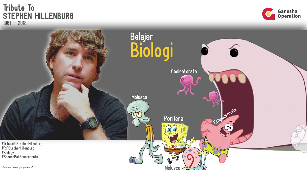 [SPONGEBOB] - Tribute to Stephen Hillenburg - YouTube