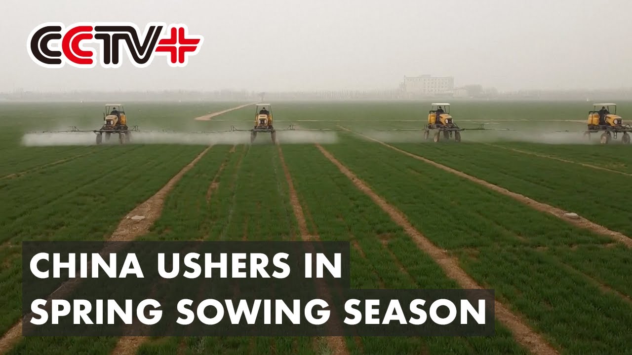 China Ushers in Spring Sowing Season - YouTube