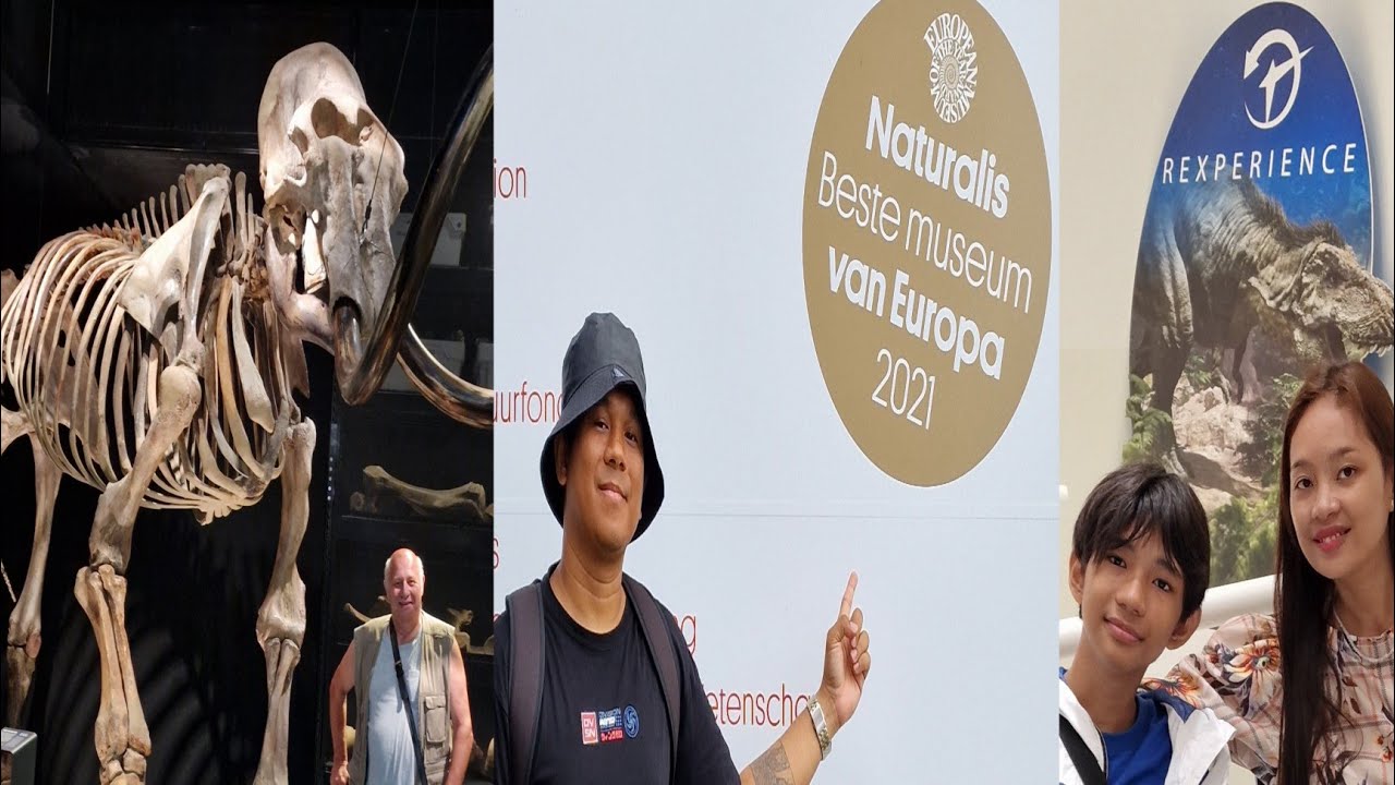 VISIT NATURALIS | BEST MUSEUM OF EUROPE 2021 | FAMILY ACTIVITIES FOR ...