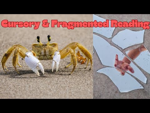 நிலையற்ற மற்றும் துண்டுபட்ட வாசிப்பு - Cursory Reading and Fragmented ...