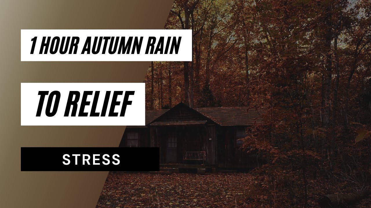 1 Hour Autumn Rain to Relief Stress - 1 hour autumn rain 💦 ii ...