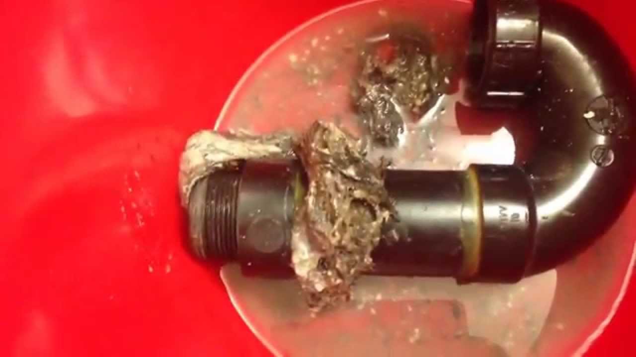 The gross stuff you find in your drain - YouTube