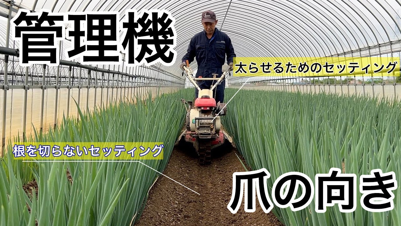 ねぎ 管理機 FTN 7 収穫 根切り 土あげ 土寄せ 農業 溝堀 引き取り大歓迎 クボタ KUBOTA 耕運機 - 農業