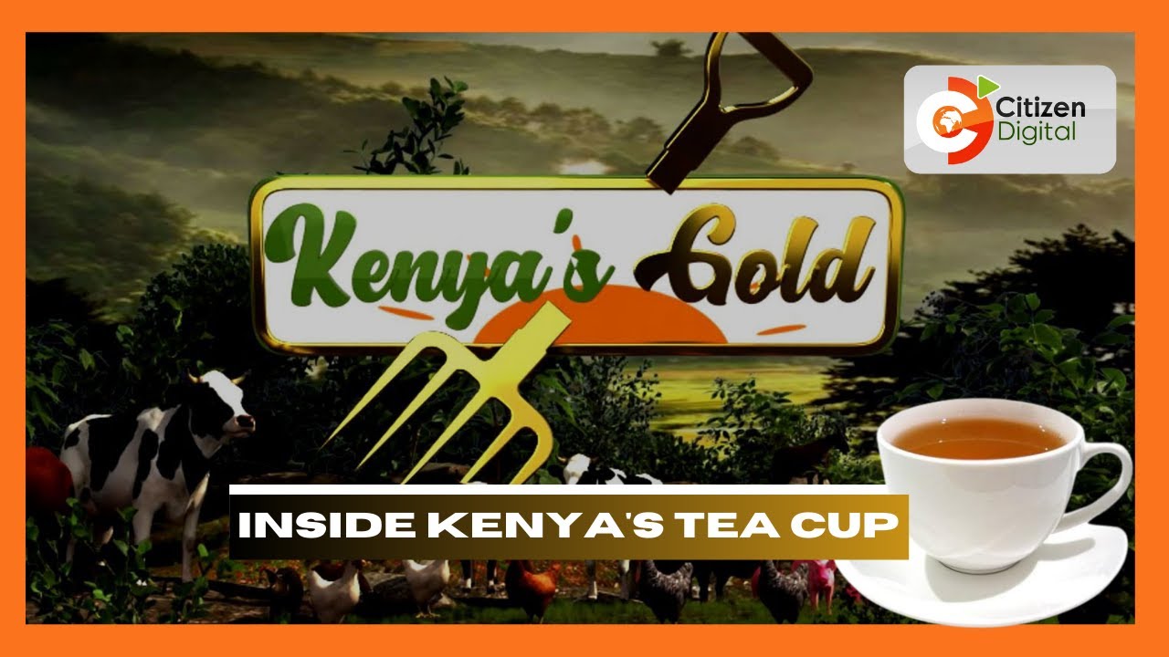 | KENYA'S GOLD | Inside Kenya's tea cup - YouTube