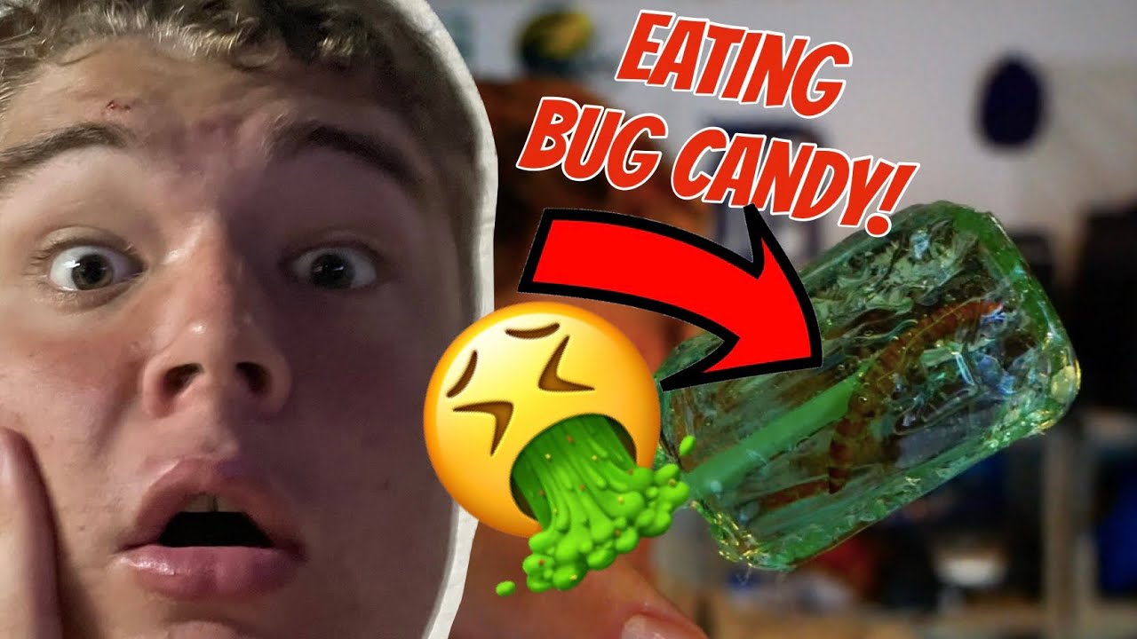 I Tried Lollipops With BUGS IN THEM! - YouTube