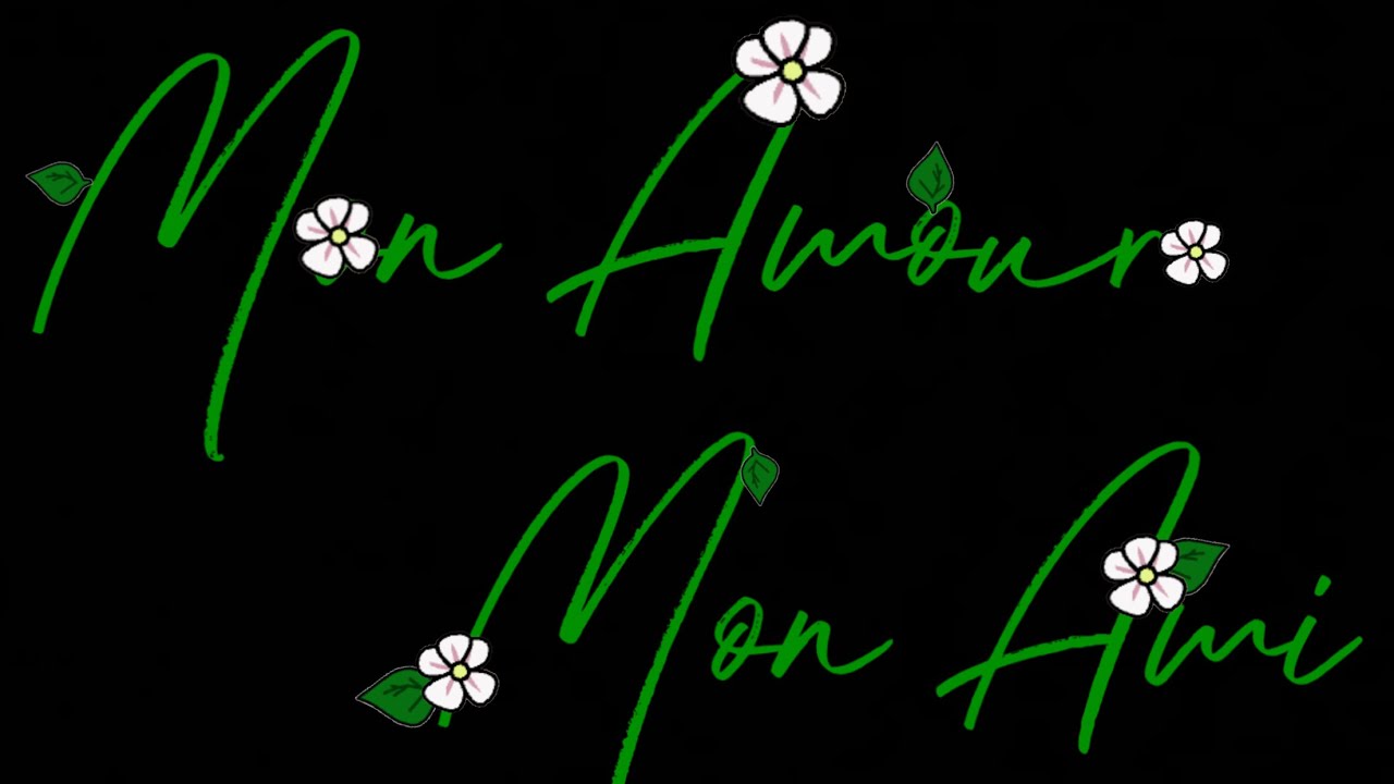 Mon amour mon Ami meme - YouTube