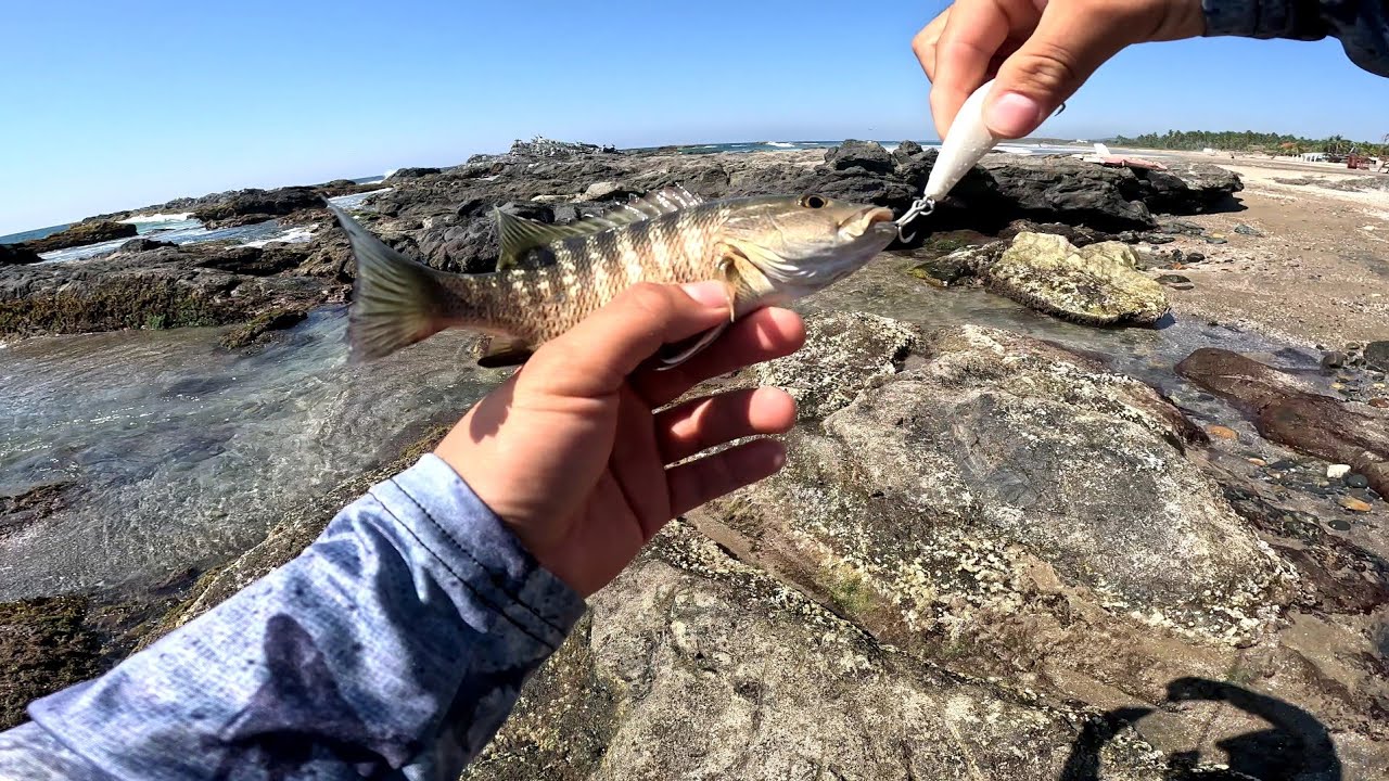 Pesca de playa || Pequeña jornada de pesca con mini señuelos. - YouTube
