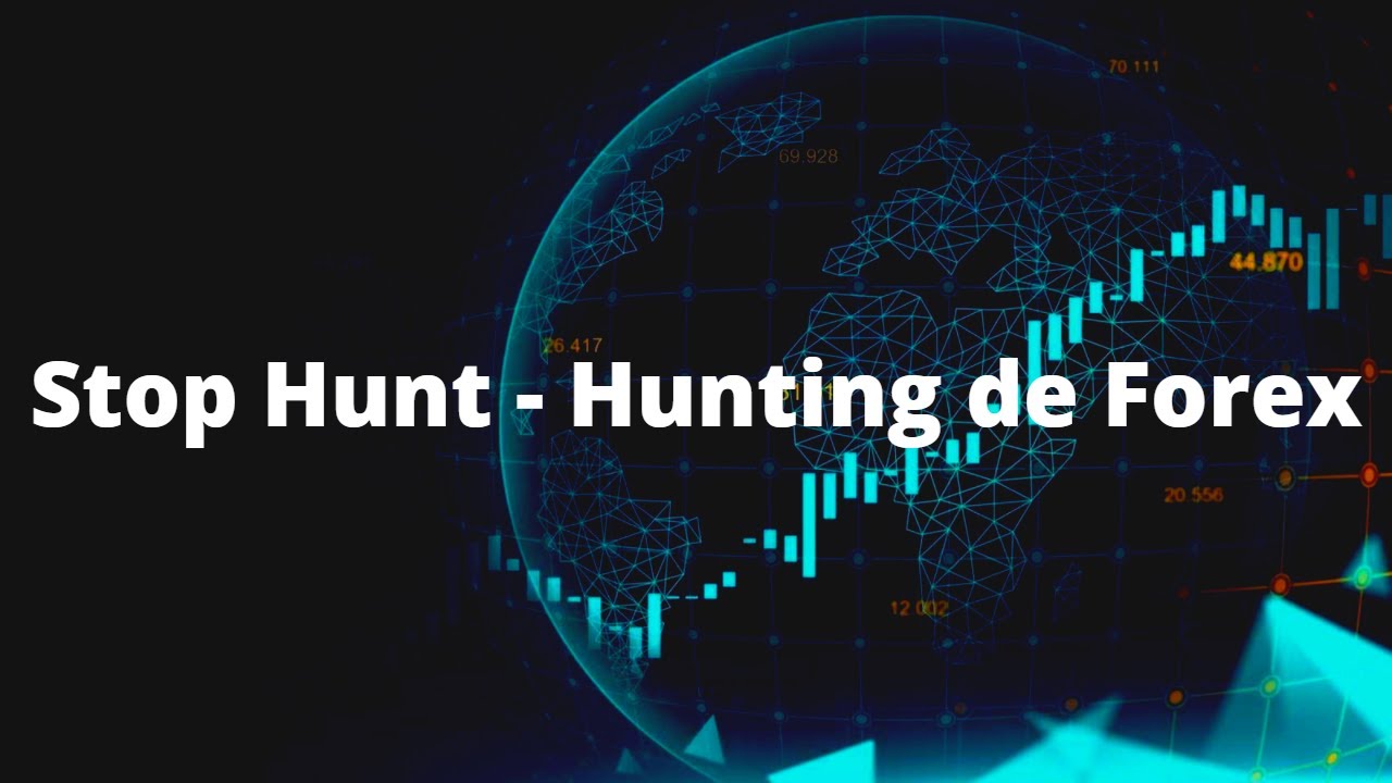STOP HUNT HUNTING DE FOREX - YouTube
