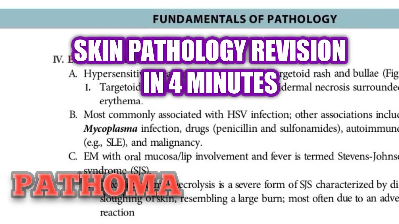 skin pathology in 4 min review || Pathoma video lectures - YouTube