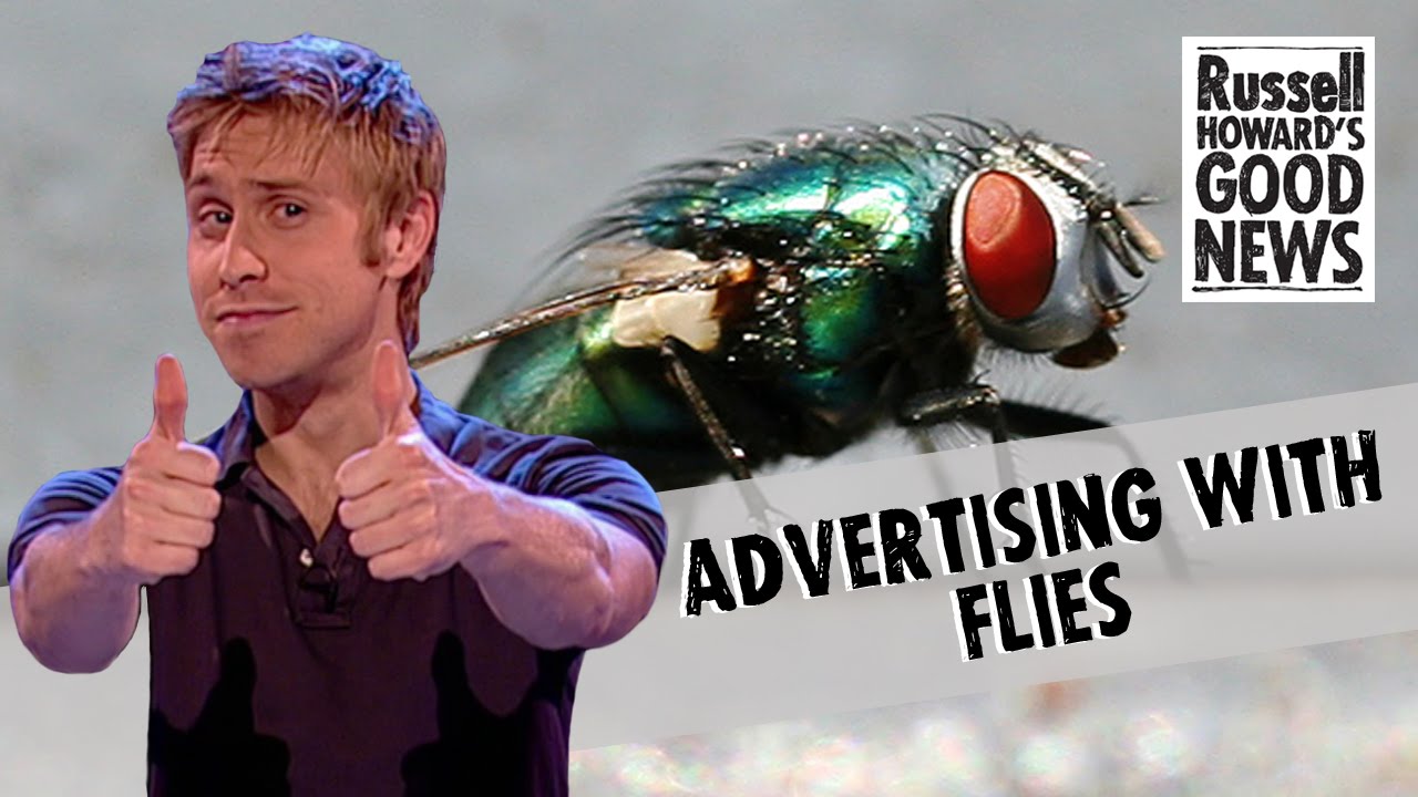 Advertising with flies - YouTube