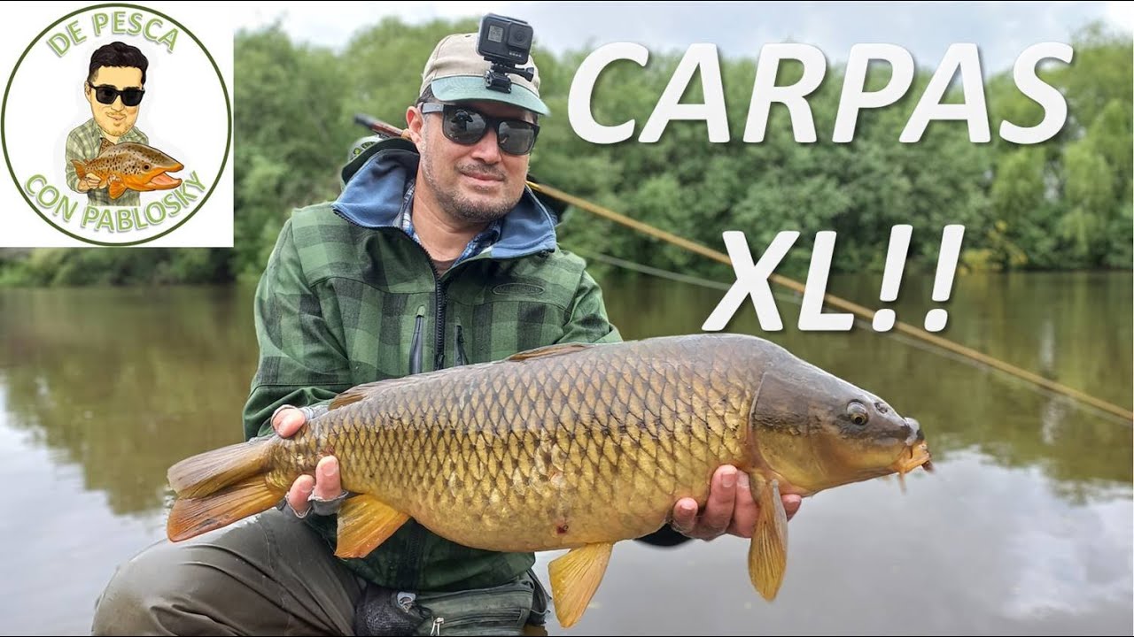 Pescando grandes Carpas con mosca! - YouTube
