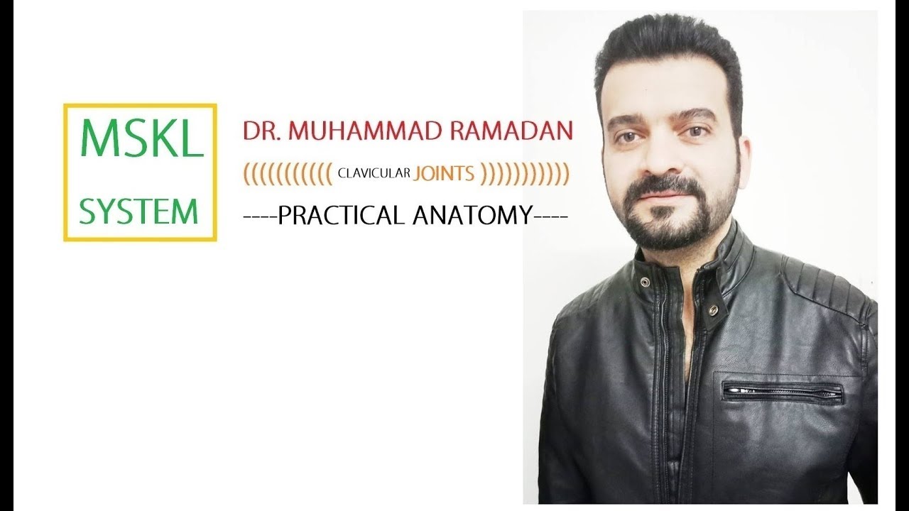 DR. MOHAMED RAMADAN- CLAVICULAR JOINTS -PRACTICAL-ANATOMY - YouTube