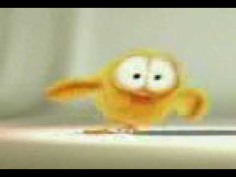 Sweety the chick (from the forum) - YouTube