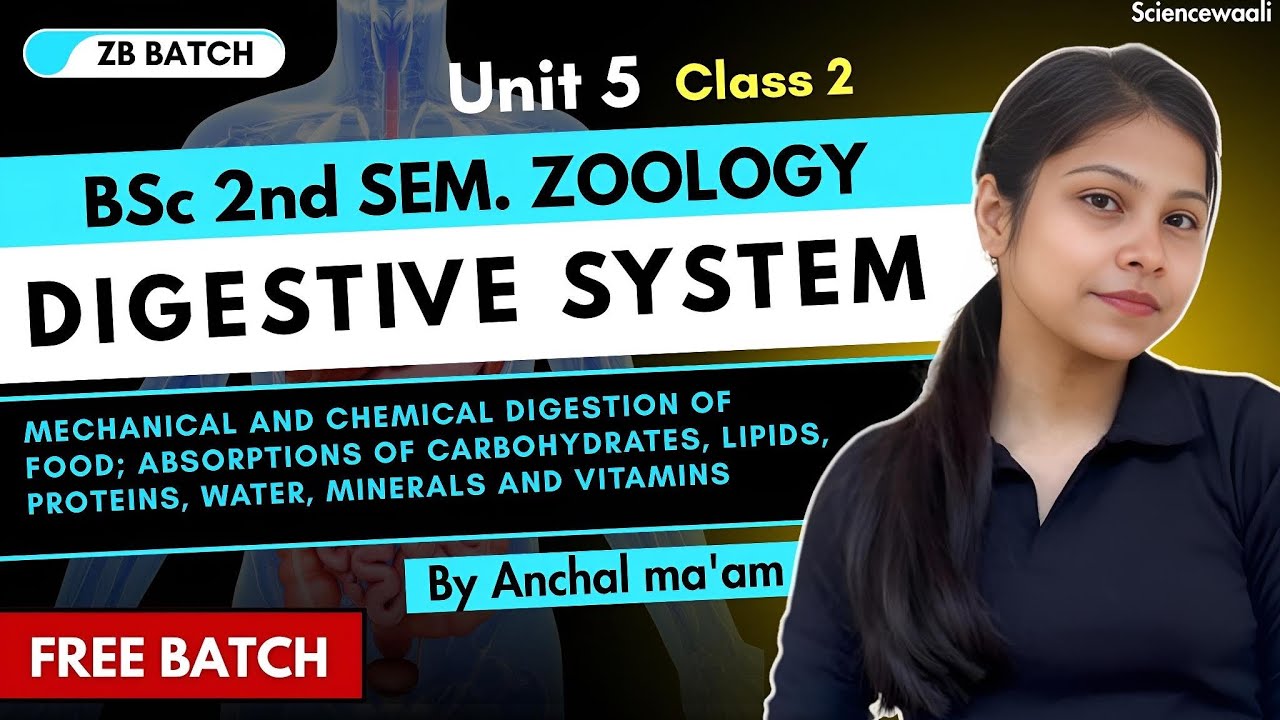 Digestive system BSc 1st year 2nd semester zoology unit 5 ZB Batch🔥💯 ...