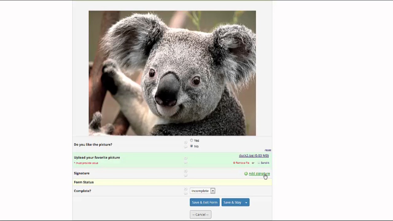 REDCap Data Entry for Data Entry Accounts - YouTube