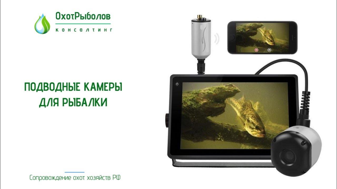 Подводные камеры для рыбалки: виды, особенности, модели - YouTube
