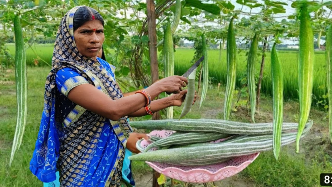 अगर ऐसे बनाएंगे भरवां चिचिंडा तो उंगलियाँ चाटते रह जायेंगे,Bharwa ...