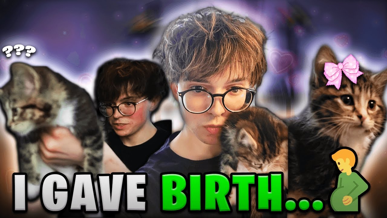 I Finally Gave Birth... Meet Pylon The Cat! - YouTube