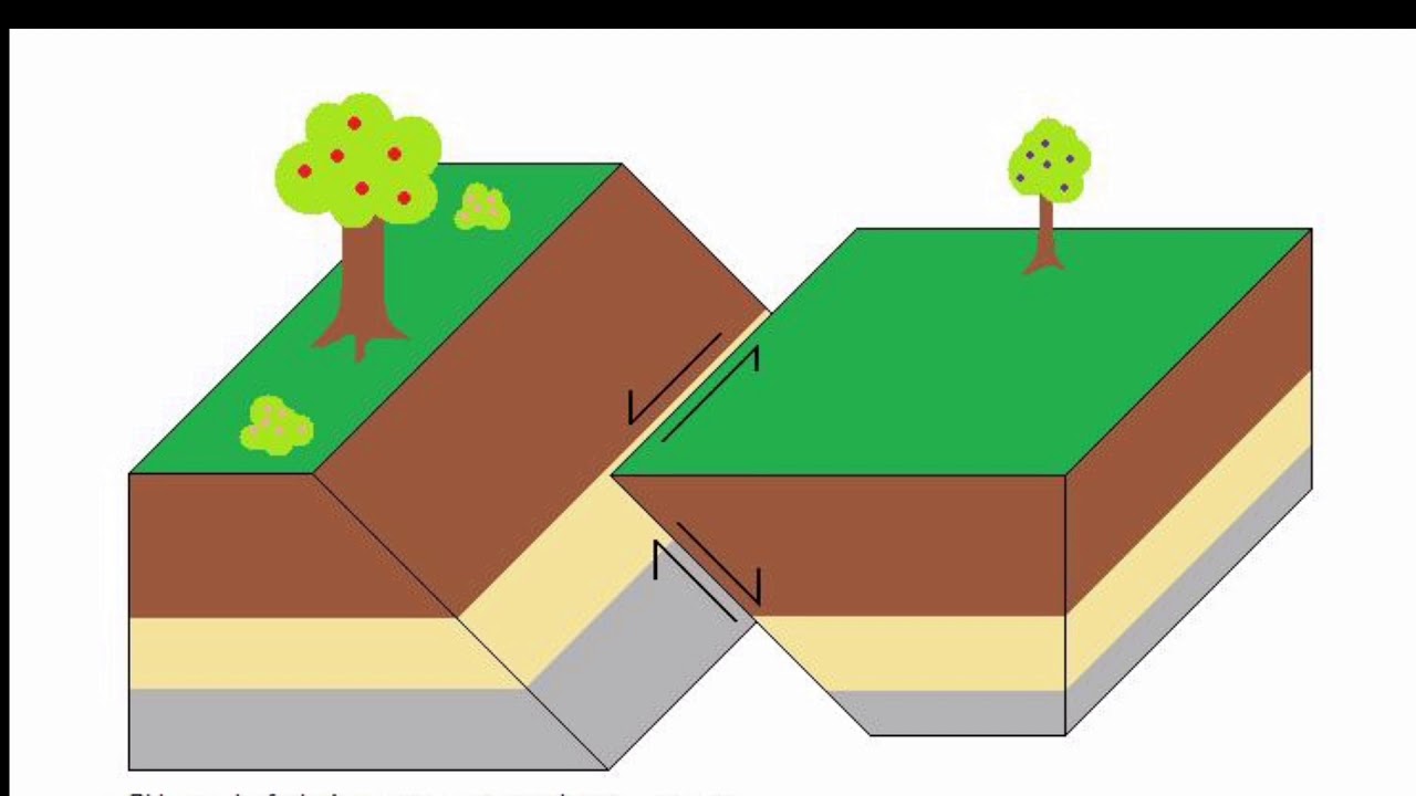 X-mipa1 (KELOMPOK1) lipatan dan patahan 🏔⛰️ #geografi - YouTube