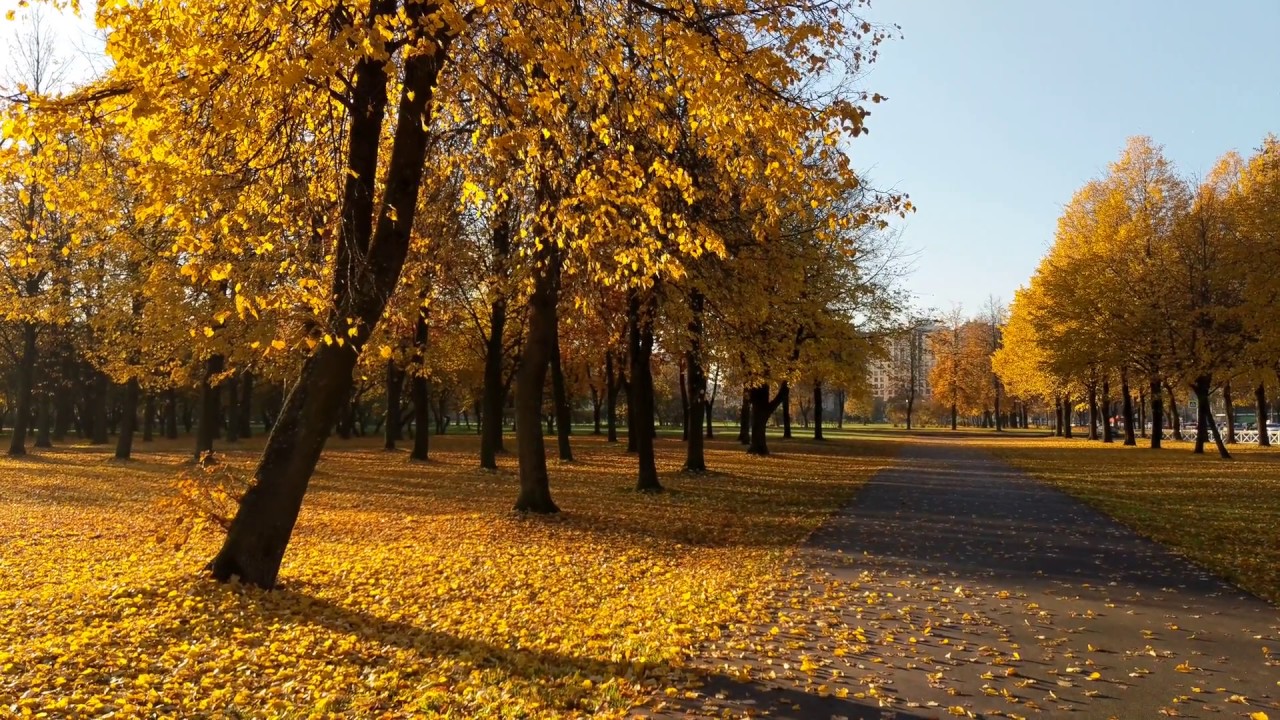 Park Neva. Autumn on the run - YouTube