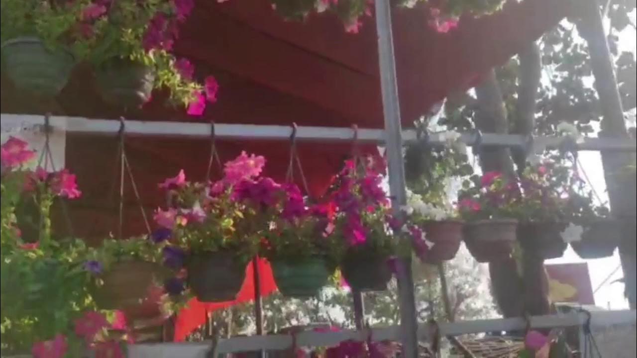 Live - Shopna's Rooftop vlogs - YouTube