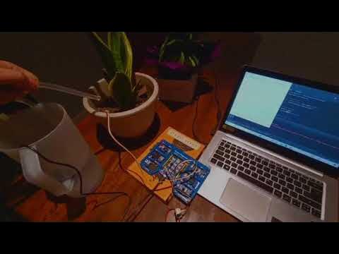 EECS1021 minor project - YouTube