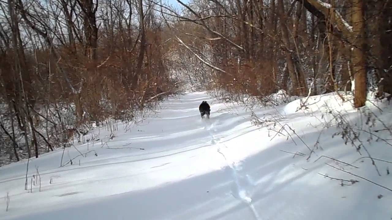 Snow Storm 1/3/14 bri - YouTube